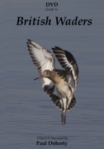 DVD Guide to British Waders by Paul Doherty The Birders Store