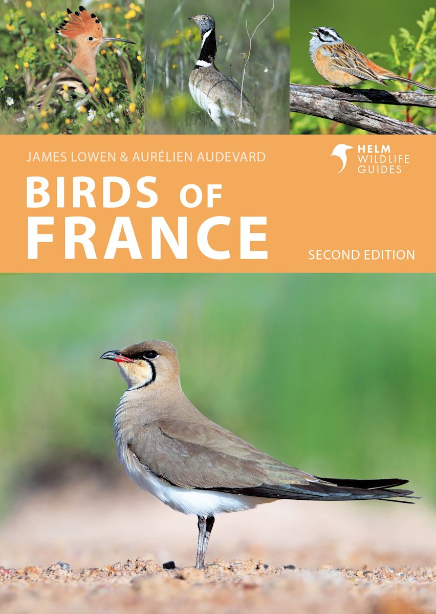 Birds of France The Birders Store