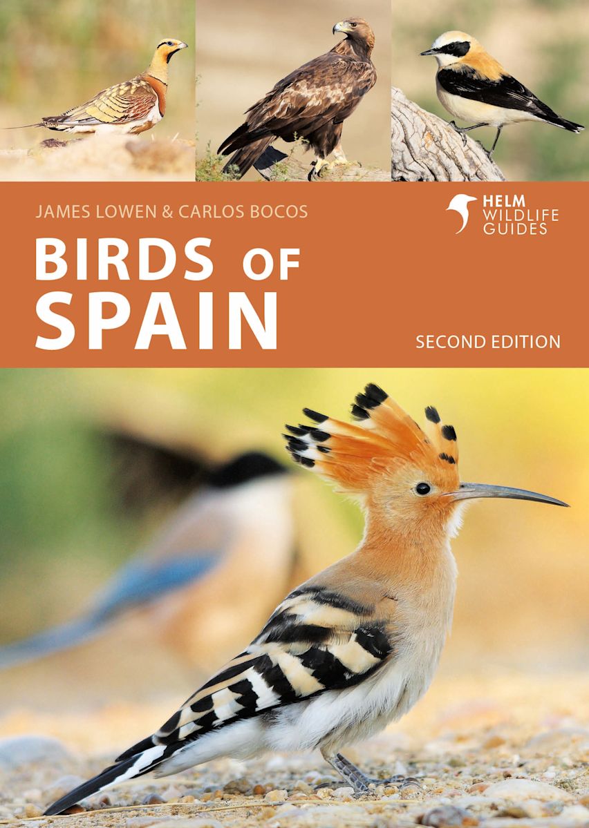 Birds of Spain by James Lowen and Carlos Bocos Gonzalez The Birders Store