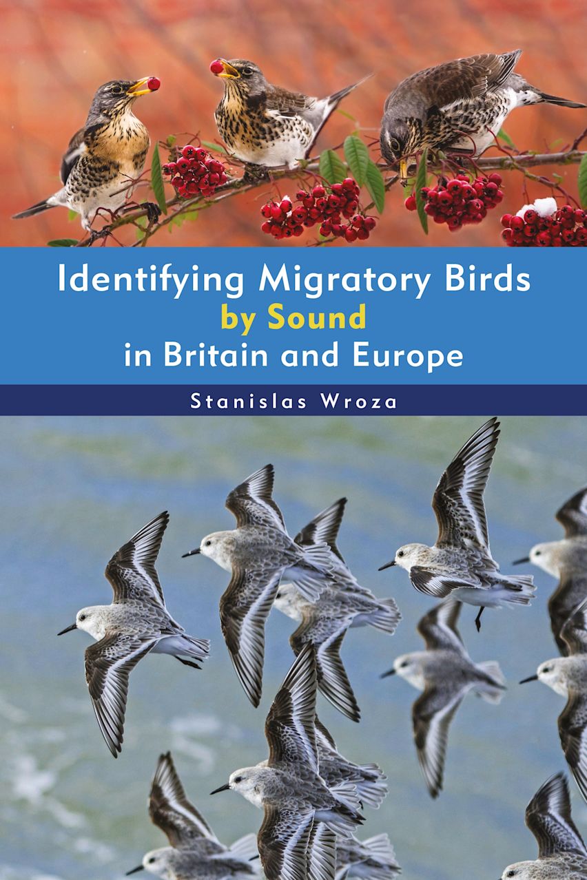 Identifying Migratory Birds by Sound in Britain and Europe The Birders ...