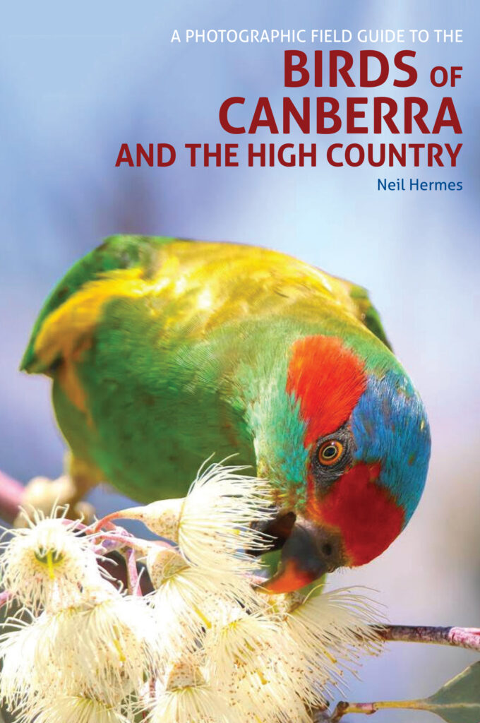 A Photographic Field Guide to the Birds of Canberra & the High Country ...