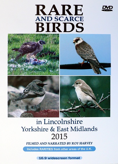 Rare and Scarce Birds in Lincolnshire, Yorkshire & East Midlands 2015 ...